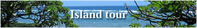 Island tour｜Okinawa optional tour cerulean blue
