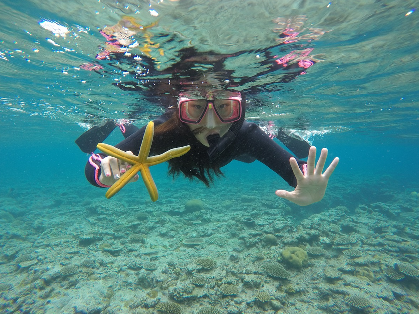 （IM）1 Day Kerama Snorkeling or Scuba Diving, departure from Chatan!! From ￥9,400｜沖縄のオプショナルツアー ...
